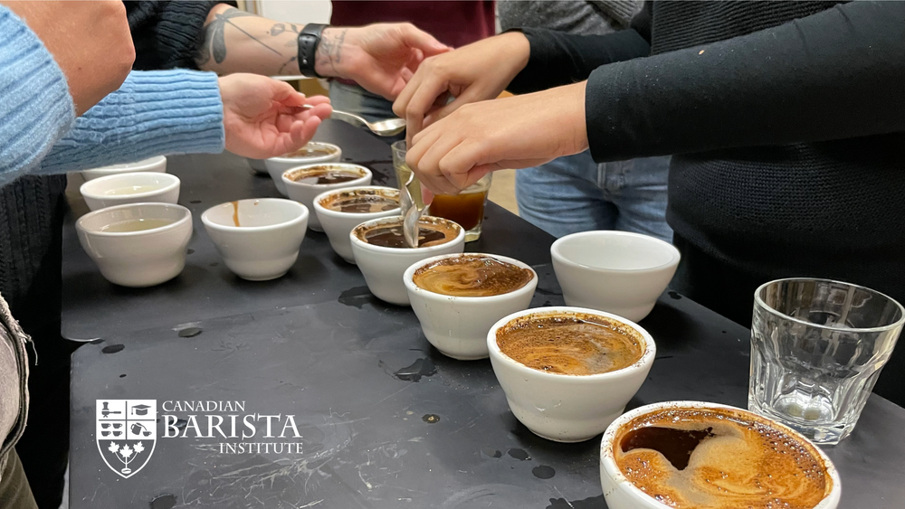 Advanced Espresso Training – Canadian Barista Institute