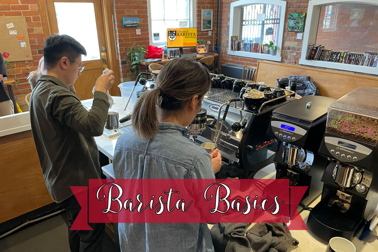Barista Basics: How to Improve Your Skills by Learning through Lots of – Canadian Barista Institute