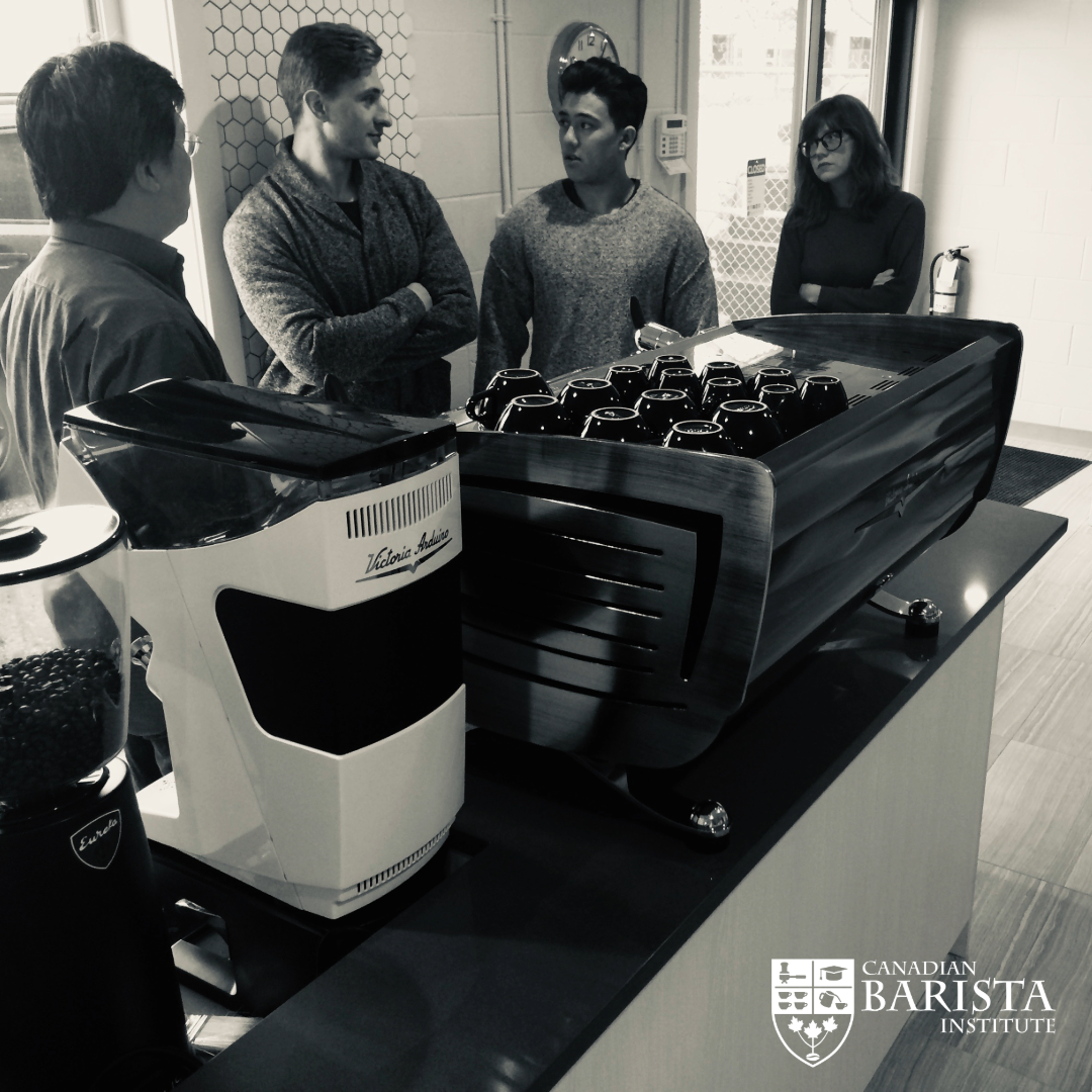 Business & Barista Classes for Coffee Shop Owners and Managers ...