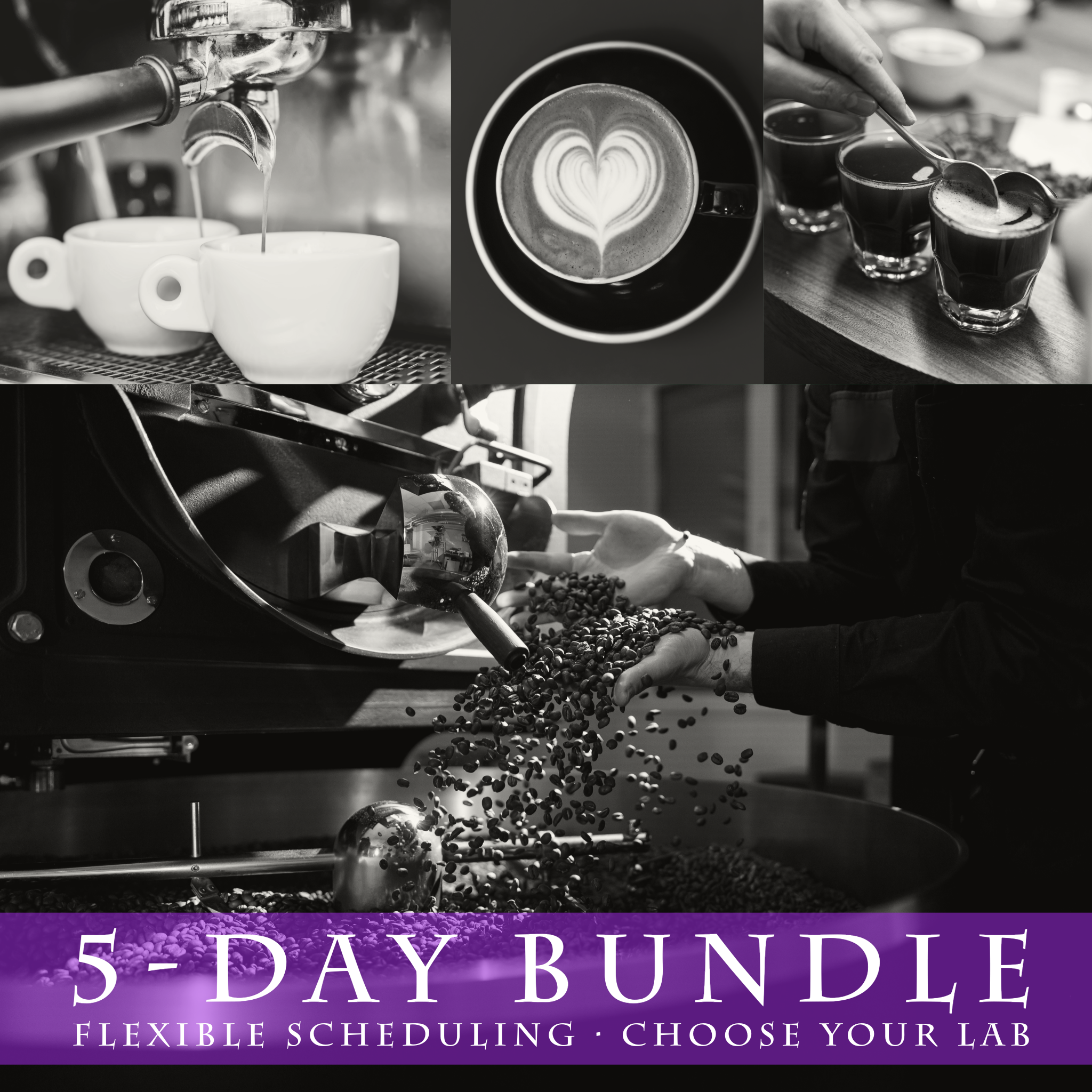 Coffee Roasting and Barista Training Bundle (5days) - Flexible Schedul ...