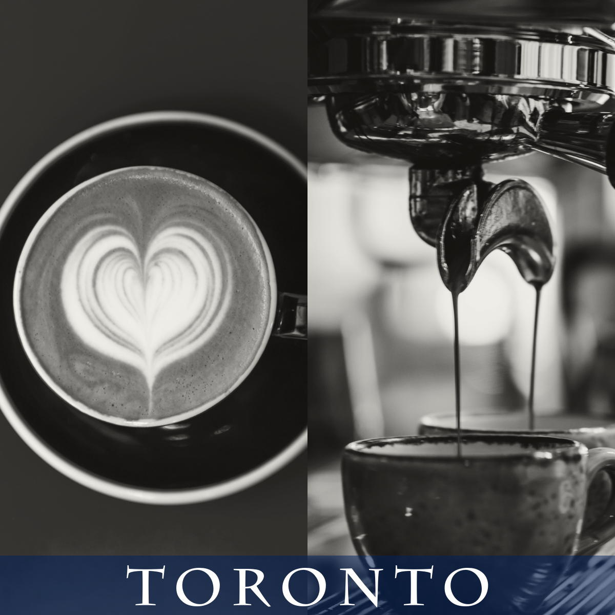 Barista Level 1 Toronto Davenport The Junction – Canadian Barista Institute